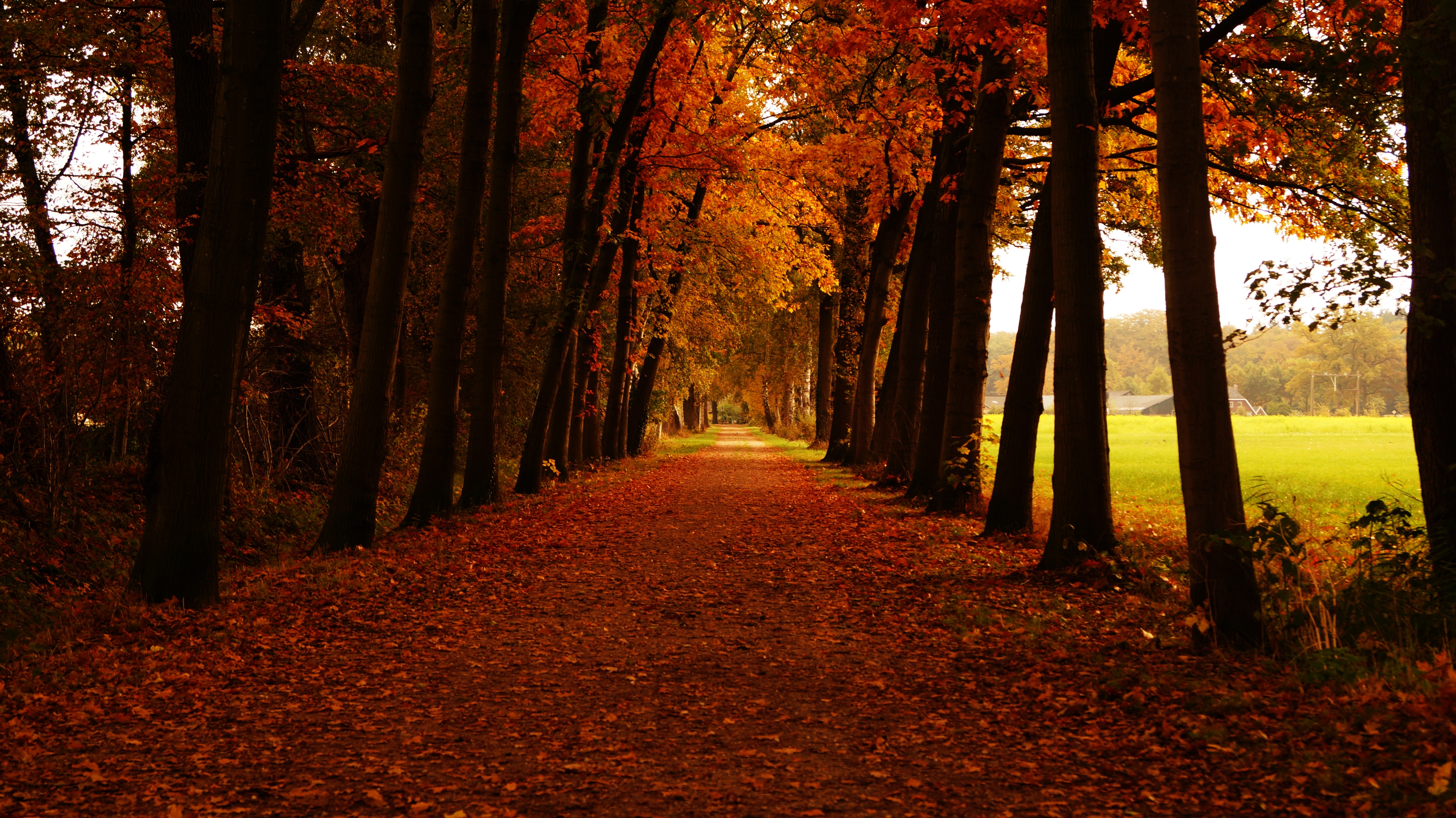 Top 3 Stops You Need to Take For Your Fall Road Trip – Hanover Flea Market